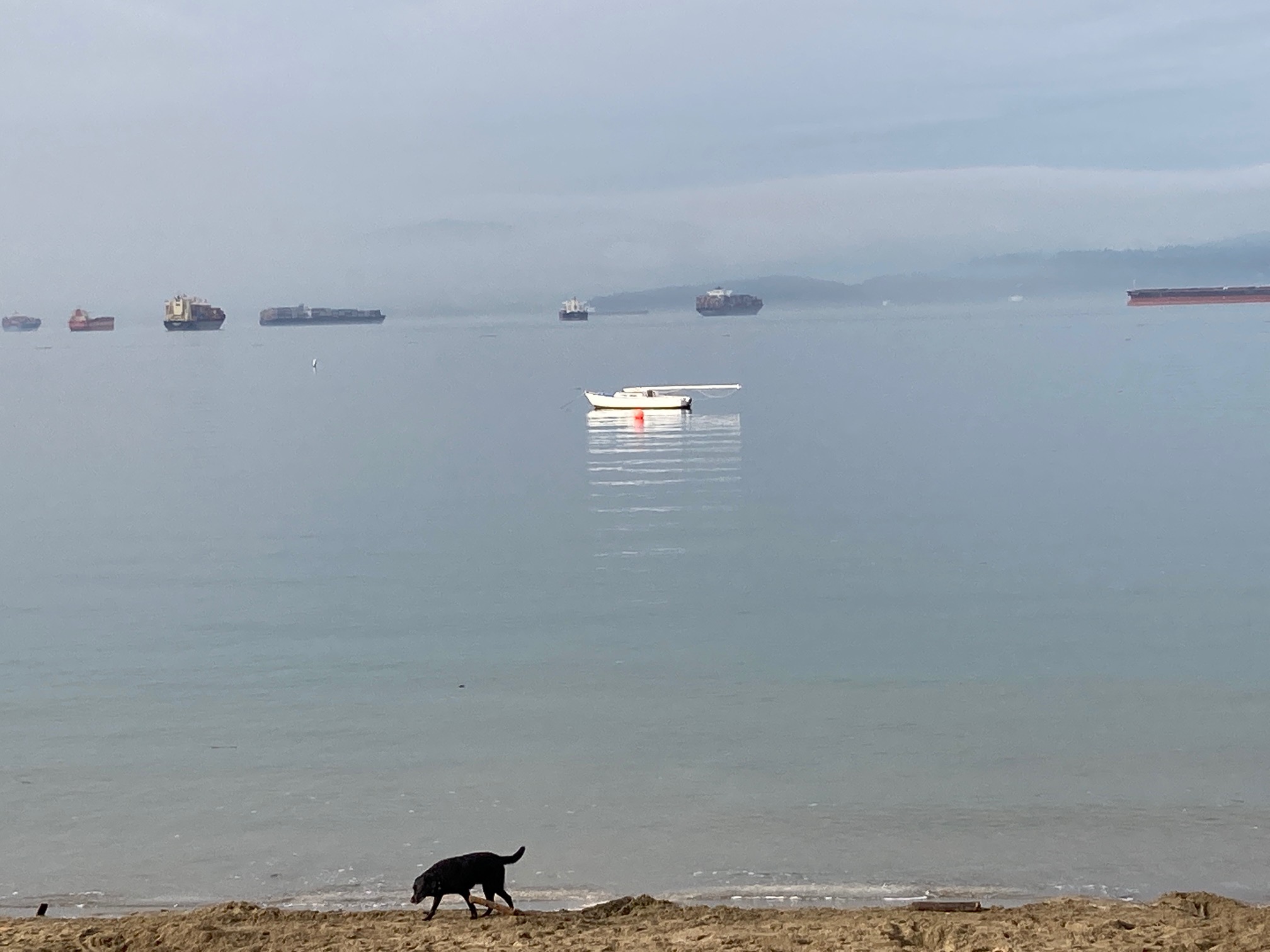 kits | Stopdraggingthepanda